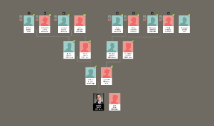 Italian Genealogy – The Do It Yourself Guide to Researching your ...